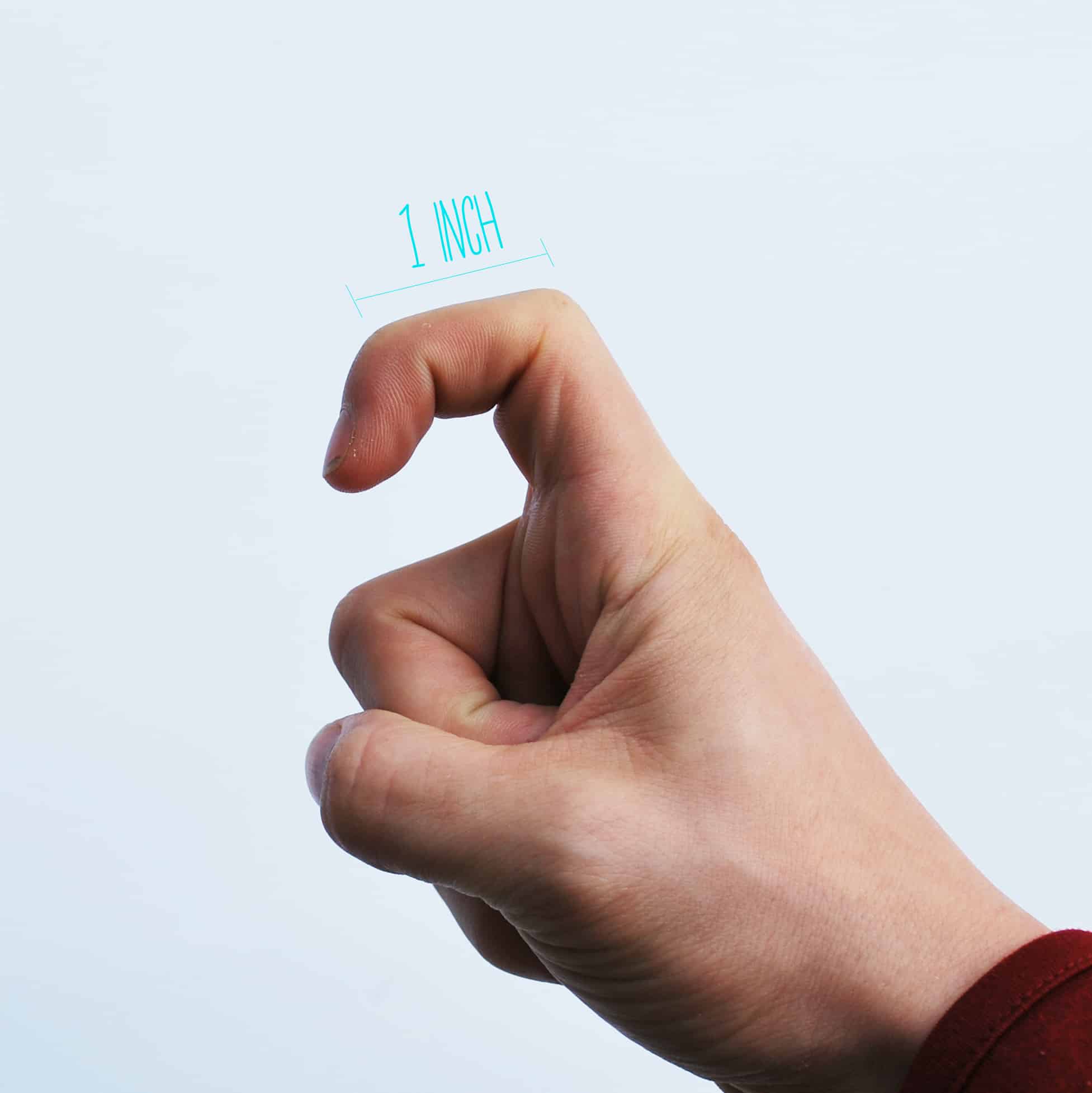 Dandelions Easy Kids' Craft • Page 2 of 2 • In the Bag Kids' Crafts