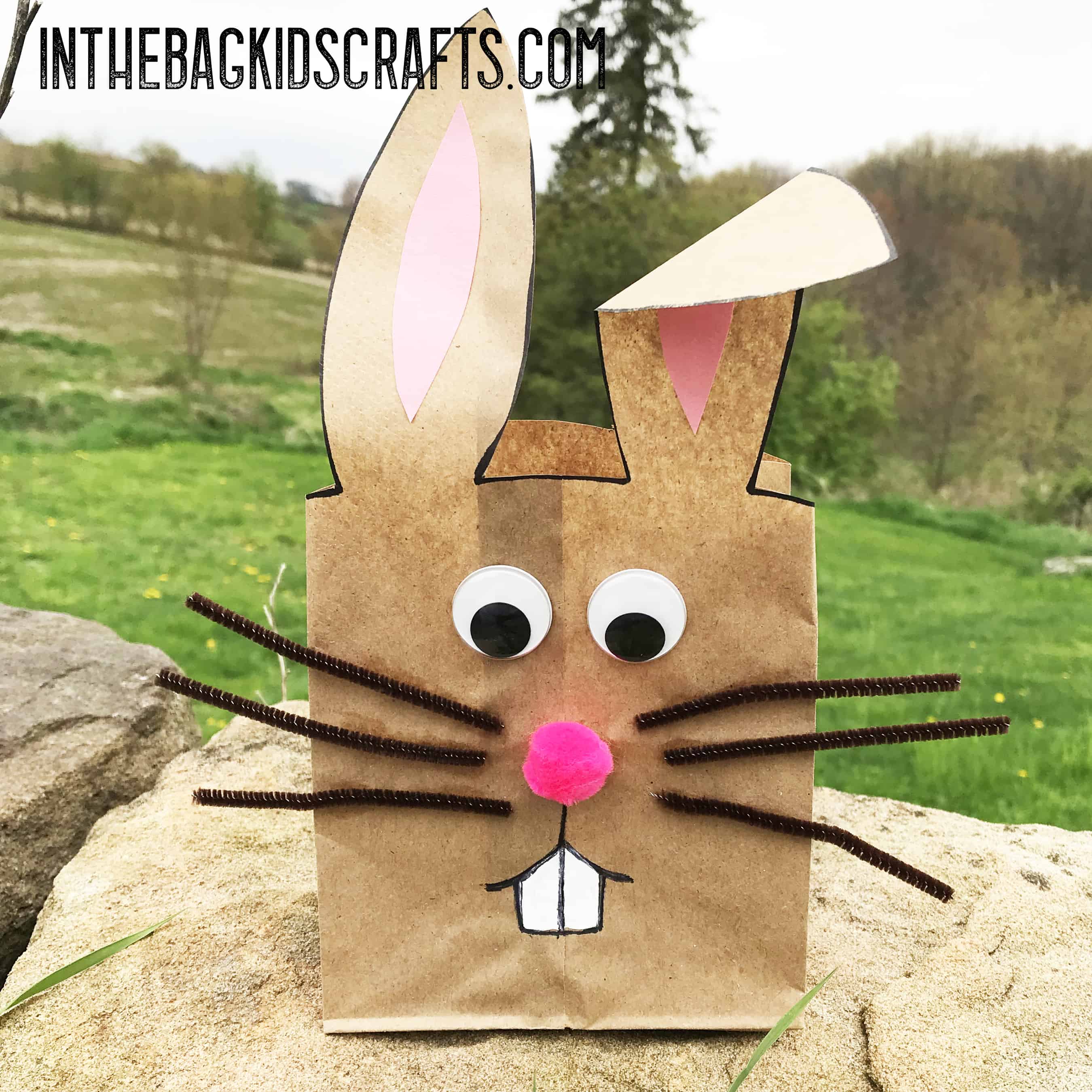 Bunny Gift Bag Kids' Craft • In the Bag Kids' Crafts