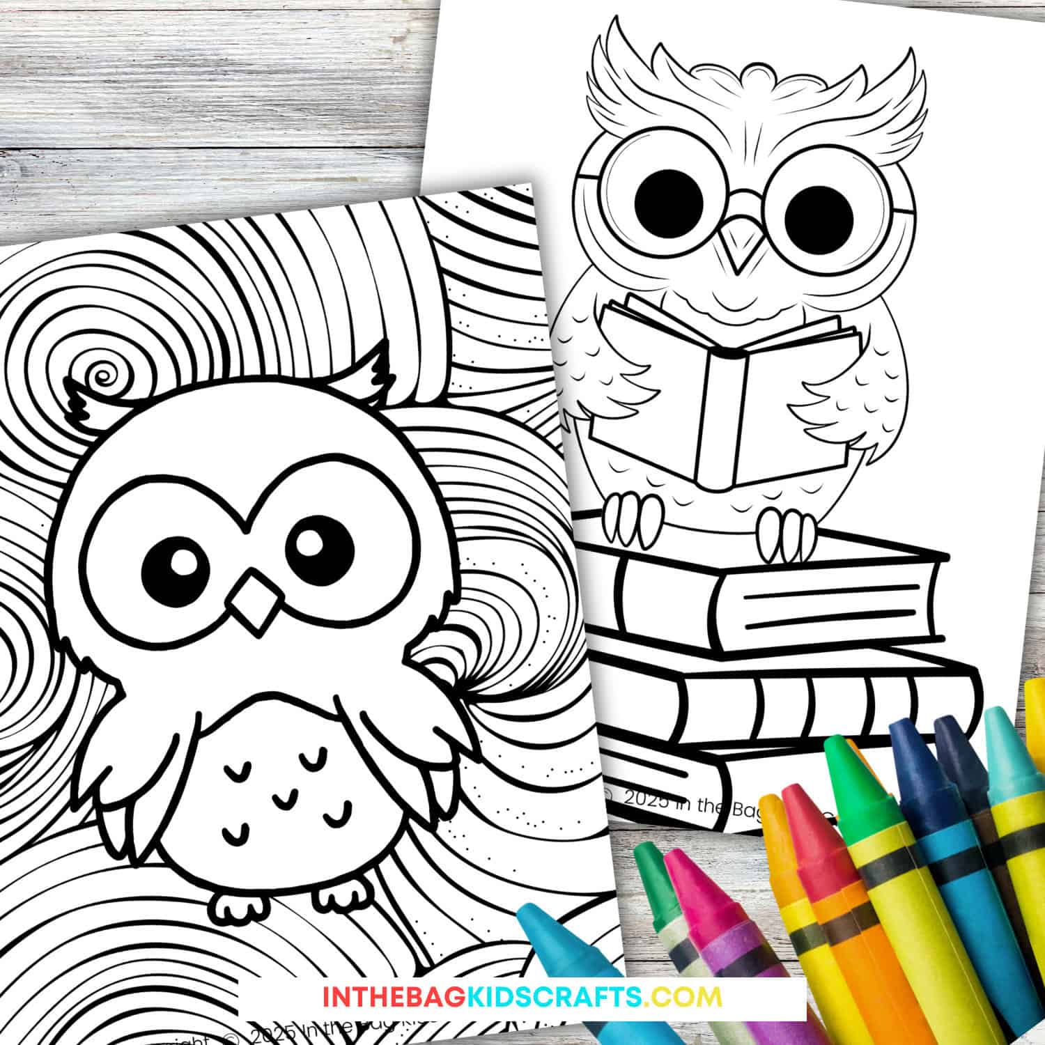 Owl Printables For Kids Free OWL Coloring Pages For Download