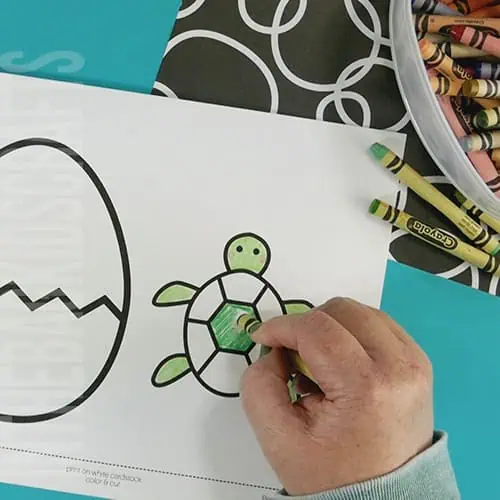 Adorable Baby Sea Turtle Craft (FREE Printable) • In the Bag Kids' Crafts