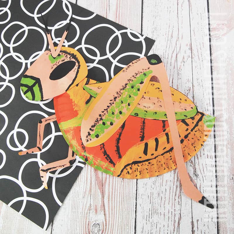 Grasshopper Template