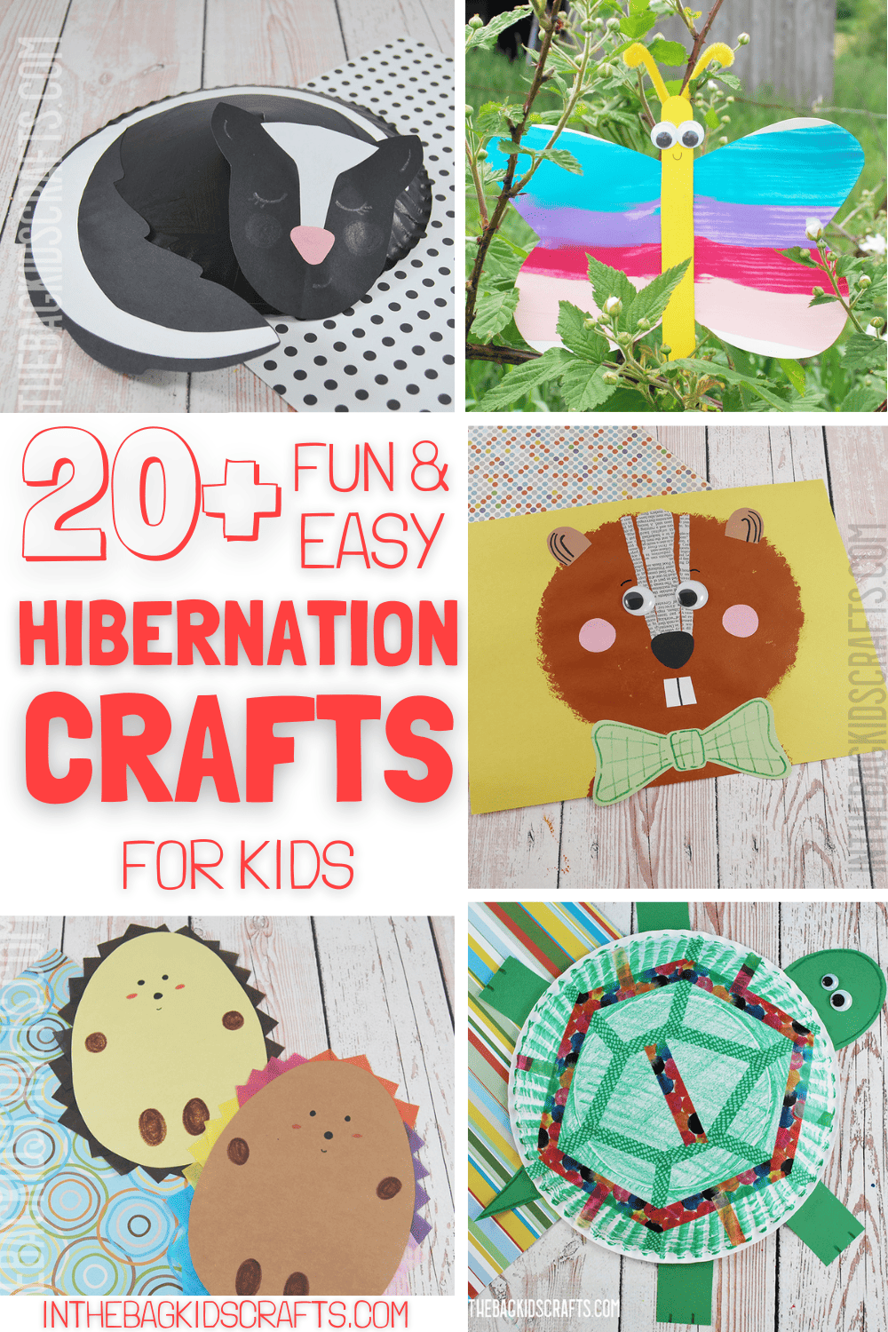 20+ Hibernation Activities for Preschoolers • In the Bag Kids' Crafts