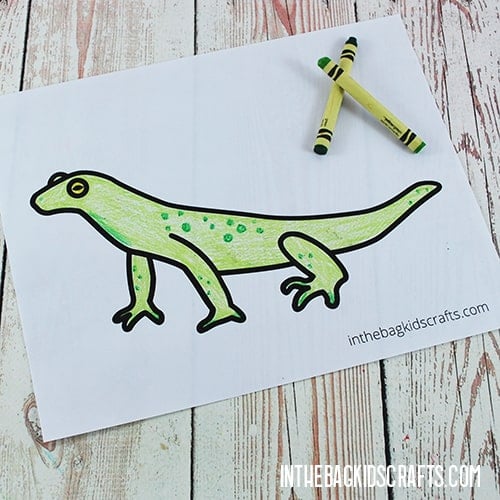 Iguana Coloring Pages {just add Washi Tape} • In the Bag Kids' Crafts