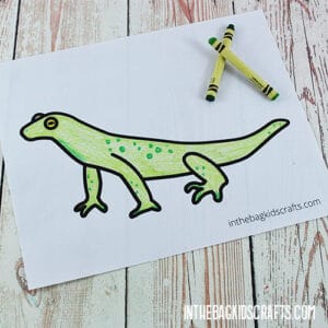 Iguana Craft {with FREE templates} • In the Bag Kids' Crafts
