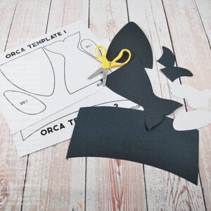 Orca Craft (with FREE template) • In the Bag Kids' Crafts