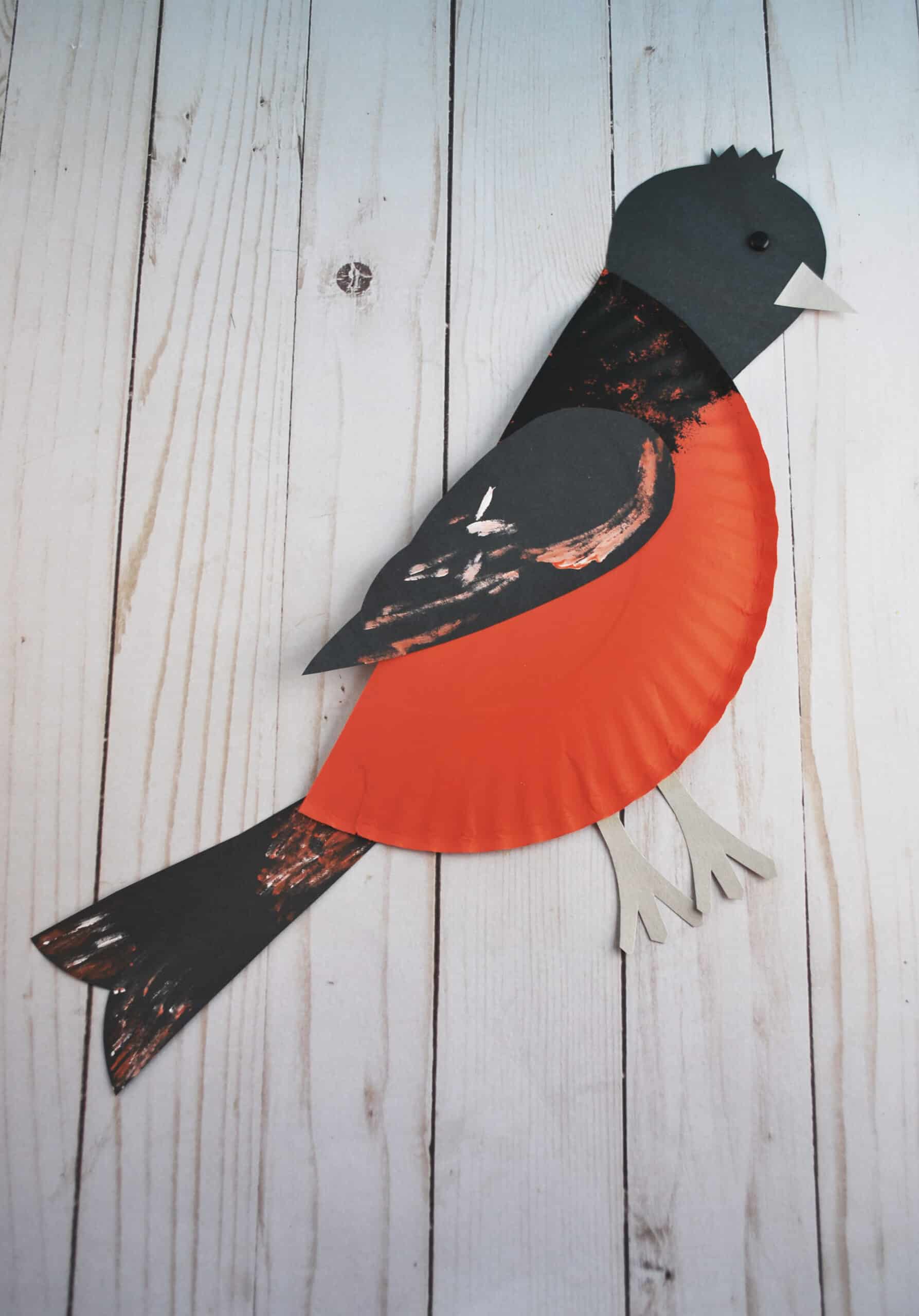 Paper Plate Bird Crafts (eBook Collection) • In the Bag Kids' Crafts