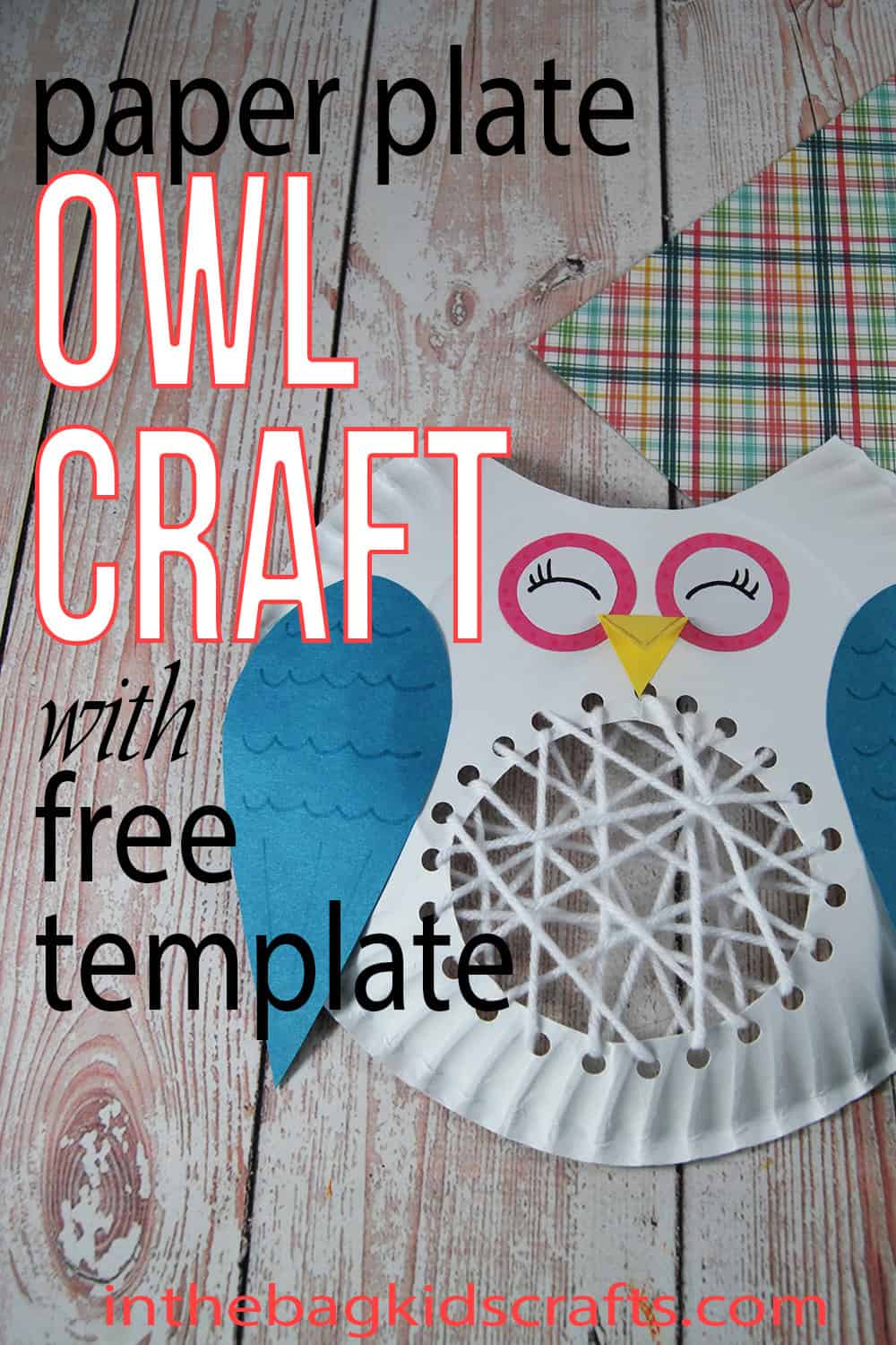 Paper Plate Owl Craft • In the Bag Kids' Crafts