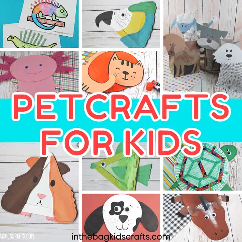 25+ Pet Crafts and Activity Ideas for Kids • In the Bag Kids' Crafts