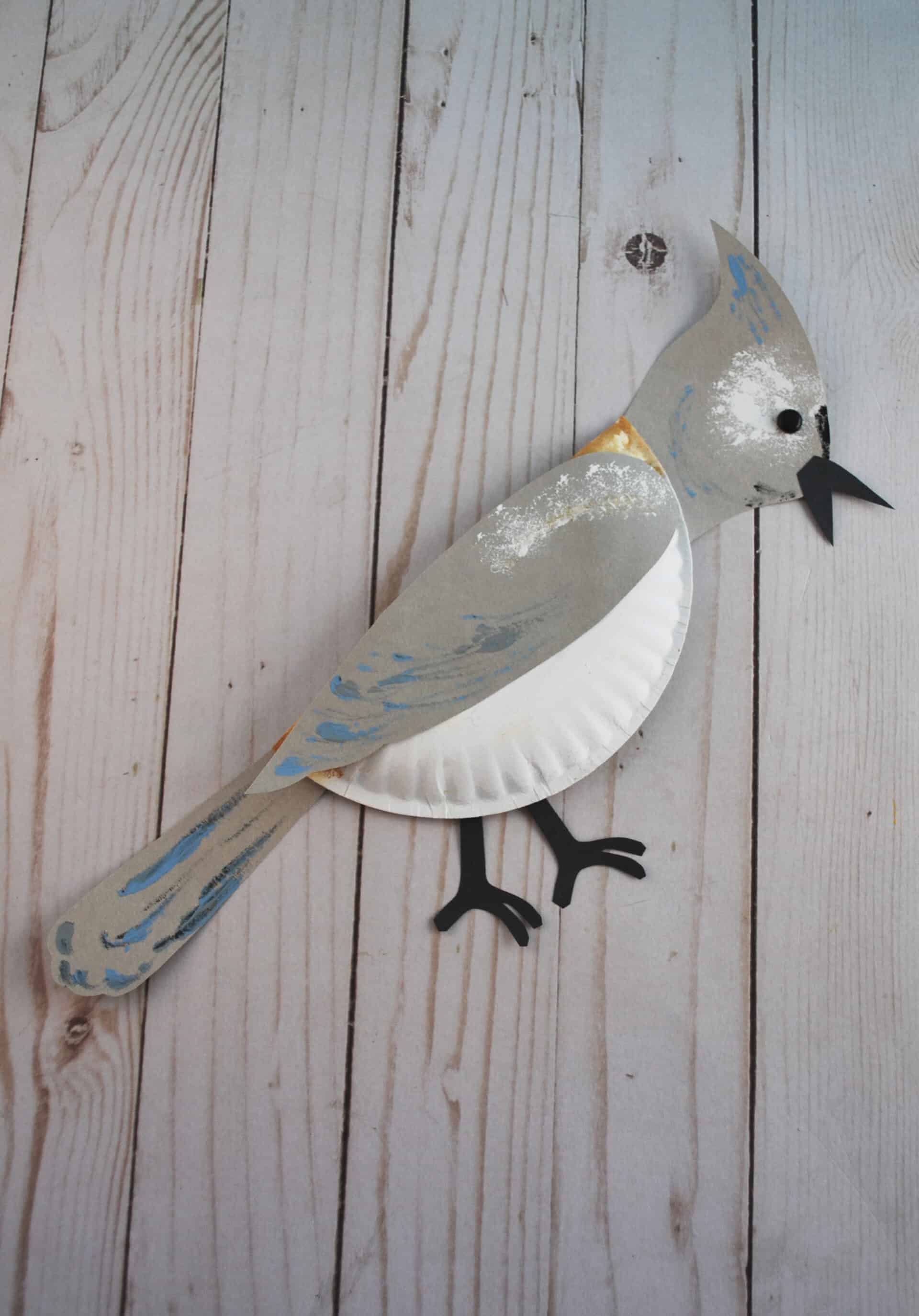 Paper Plate Bird Crafts (eBook Collection) • In the Bag Kids' Crafts